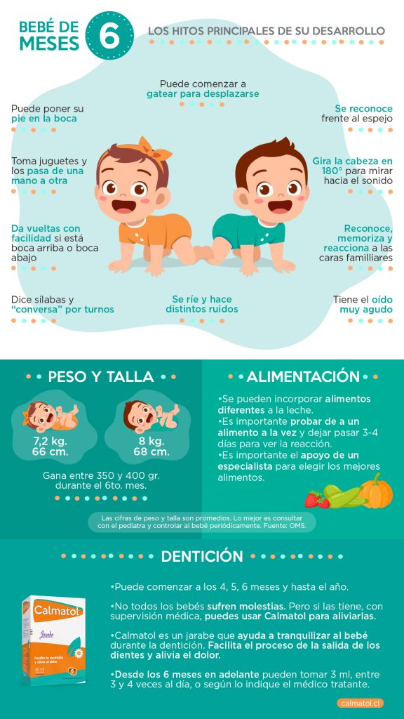 Bebé de 6 meses: los hitos principales de su desarrollo. - Calmatol